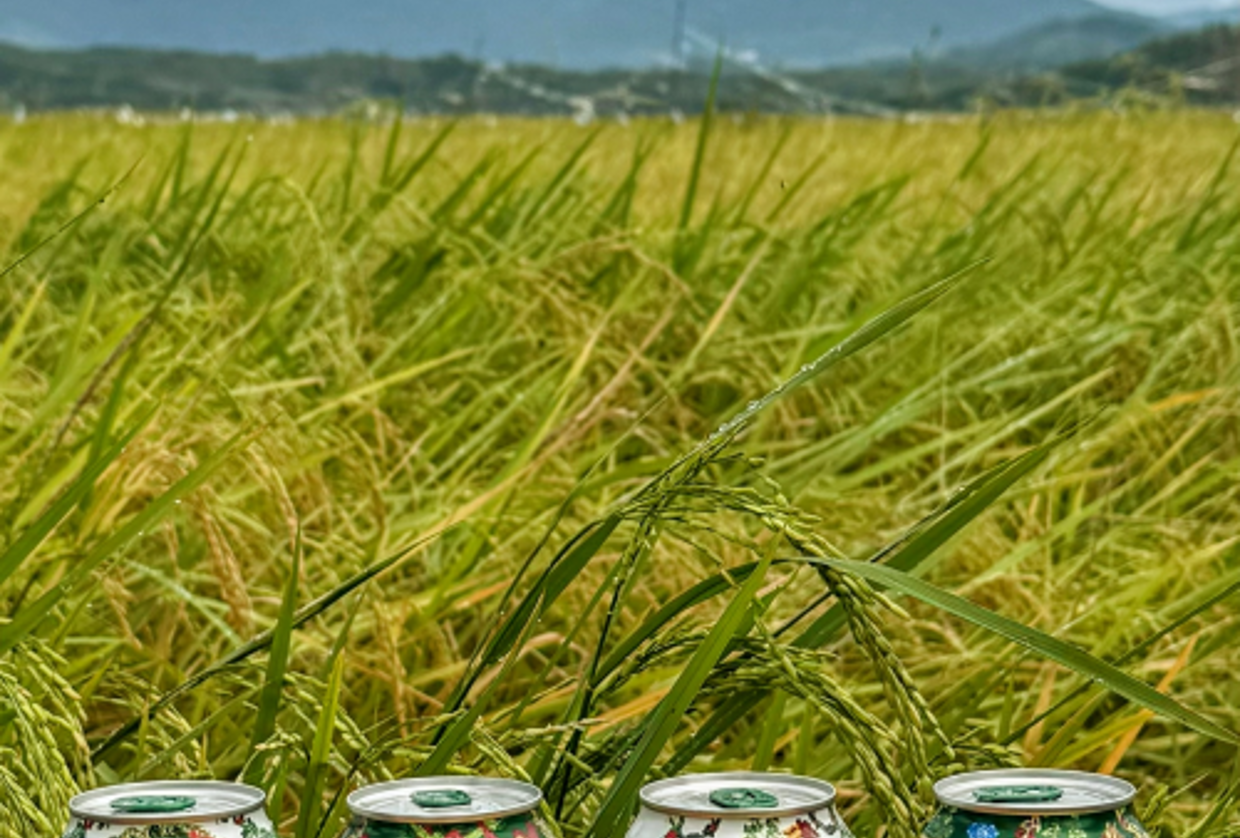 Newsroom » Carlsberg Unveils MesmeRICEsing Packaging with Four New ...
