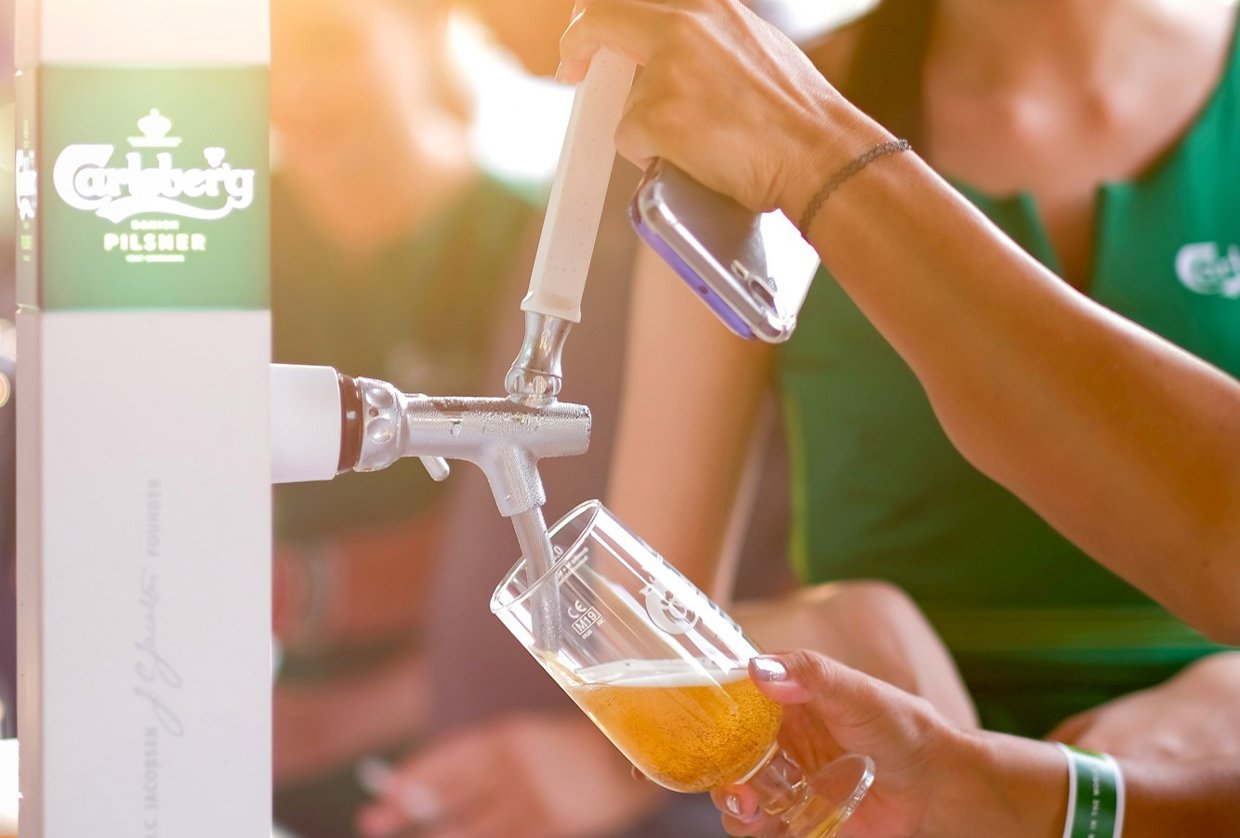 Carlsberg Bergrug Buy Carlsberg Beer FOX FOREST AGRICULTURE